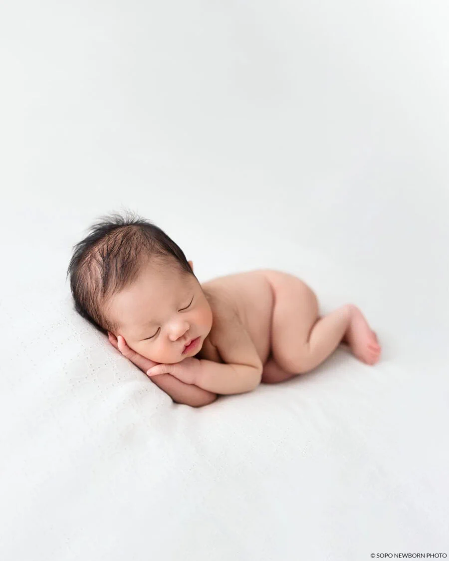 Bean Bag Fabric for Photography - Echo (Ivory) | All Newborn Props